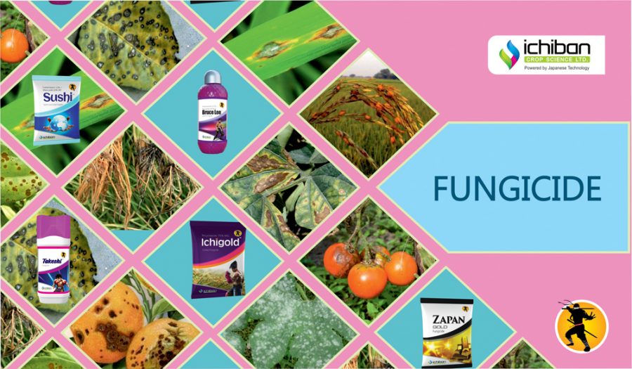 Fungicides Products – Ichiban
